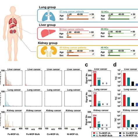 Kun Qian The University Of Queensland Brisbane Uq Australian Institute For Bioengineering