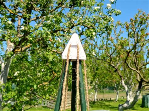 Trellis For Plants By Amater Makerworld Download Free 3d Models