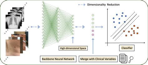 medical image classification by incorporating clinical variables and learned features royal