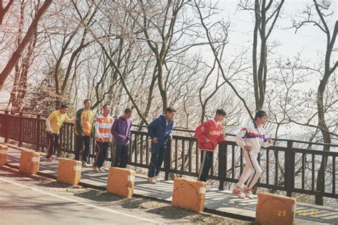 슬램덩크 리바운드 드림 극장가 달구는 스포츠의 향연 전자신문