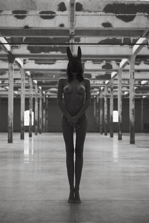 A Lonely Bunny Placebo