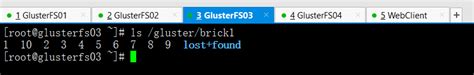Glusterfs分布式存储系统 Csdn博客