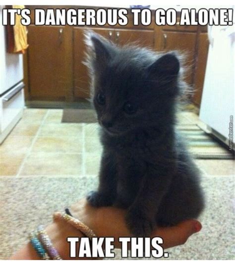 Protective Cat Meme
