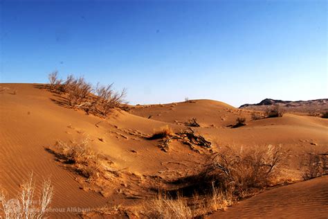 کویر ریگ جن عکس بهروز علیخانی