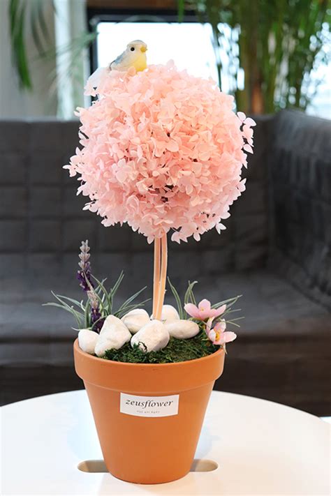 제우스플라워 프리저브드플라워