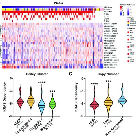 Apply K20 Predictive Model To Tcga Pancreatic Adenocarcinoma Pdac Download Scientific Diagram