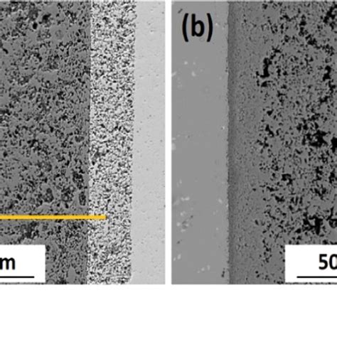 cross sectional sem micrograph of a cell 1 and a cell2 after asr