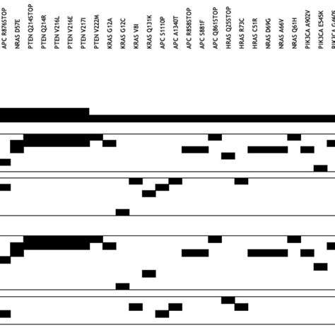 Gene Map Representing All Gene Mutation Status Available For The 12 Download Scientific Diagram