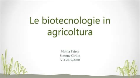 Le Biotecnologie In Agricoltura Pptx