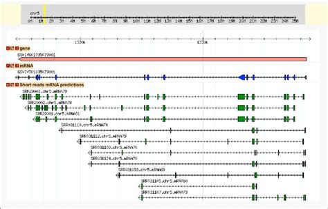 Putative Alternative Splicing Pas Identification Showing 24 Kbp Of
