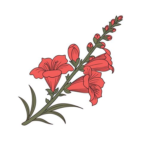 Charming Snapdragon Flower Design 57811879 Vector Art At Vecteezy Charming Snapdragon Flower Design 57811879 Vector Art At Vecteezy