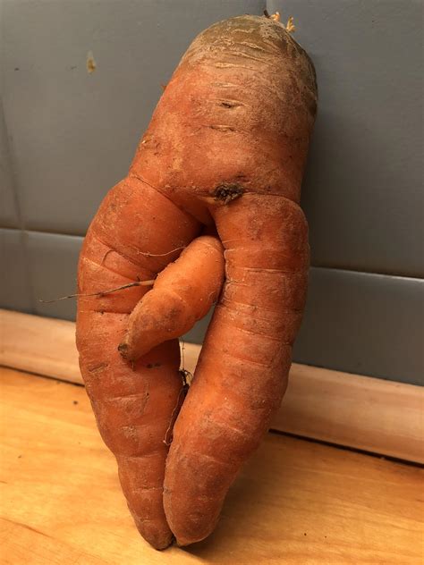 Male Carrot Rmildlypenis