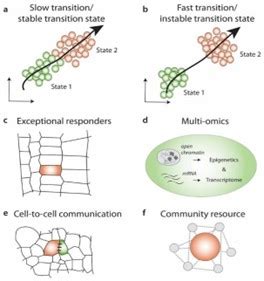 Prospects Of Single Cell Transcriptomics In Plant Biology Research Plantae