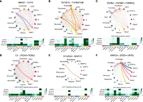 Figure 1 From Single Cell And Bulk Rna Seq Reveal Angiogenic Heterogeneity And