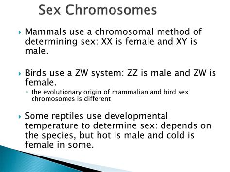 Ppt Meiosis And Genetic Variation Powerpoint Presentation Free