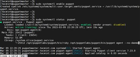 So Installieren Sie Puppet Master Und Agent In Rhelbasierten Systemen