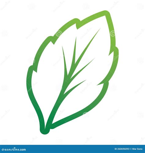 Leaf Green Logo And Symbol Vector Stock Illustration Illustration Of