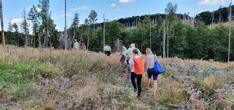 Creating Resilient Forests For The Future Superb