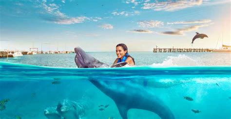 Catamaran Swim Adventure Getyourguide
