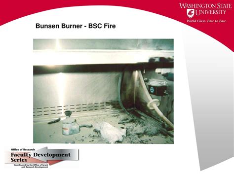 Ppt Biosafety Training Shulin Chen Lab Powerpoint Presentation Free