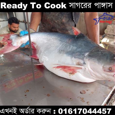 Pangas Fish Cutting Amazing Fish Cutting Skill Fish Vally Pangas