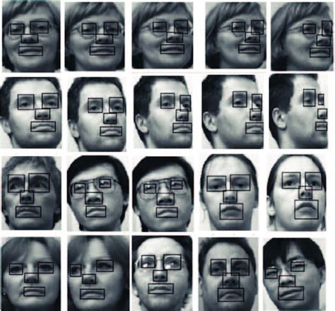 5 Facial Components Detected In Different Orientations Download