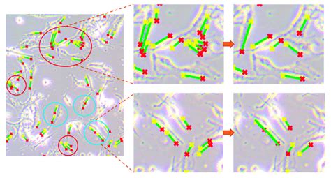 Two Kinds Of Detection Before And After Post Processing The Red Download Scientific Diagram