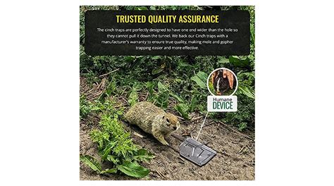 Cinch Gopher Trap Kit Small 1 Pack Heavy Duty Reusable Rodent Trapping System Weather