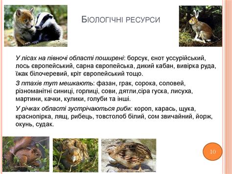 Донецька область презентация онлайн