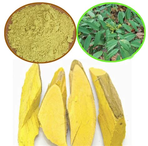 Staherb Factory Hot Sell Cortex Phellodendri Chinensis Extract Coptis