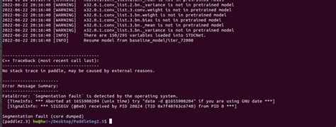 Bug 训练模型报 No stack in paddlemay be caused by external reasons