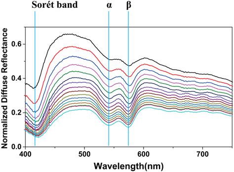 Measured Diffuse Reflectance Spectra At Different Hemoglobin