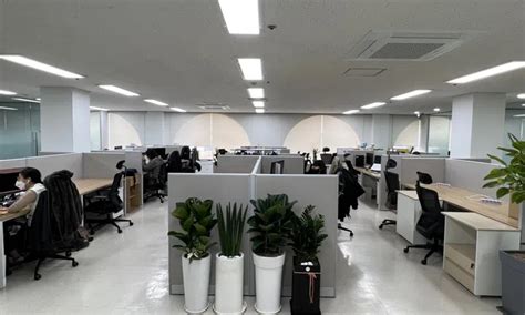 점핏 결제 Si Java 개발