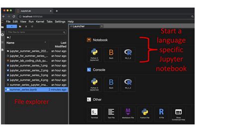 Managing Bioinformatics Projects With Jupyter Lab Introduction To