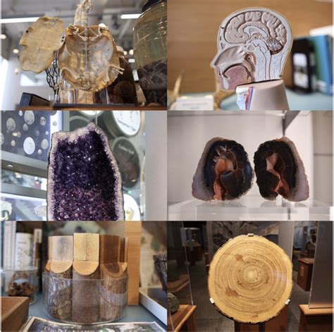 Section Views Engineering Graphics And Design