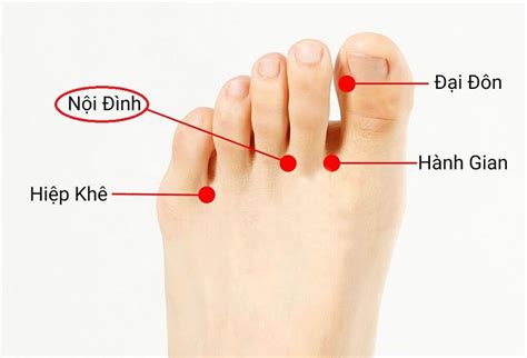Tìm Hiểu Về Các Huyệt ở Bàn Chân Và Vị Trí Của Các Huyệt Ghế Massage