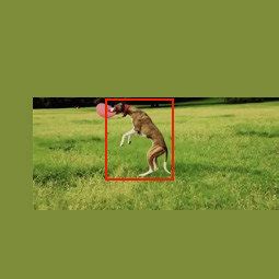 Pdf Fully Convolutional Siamese Networks For Object Tracking