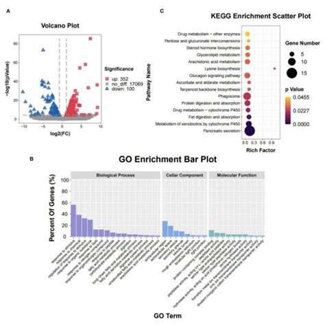Liver Transcriptome Of The Con And Sph Groups A Volcano Plot Of
