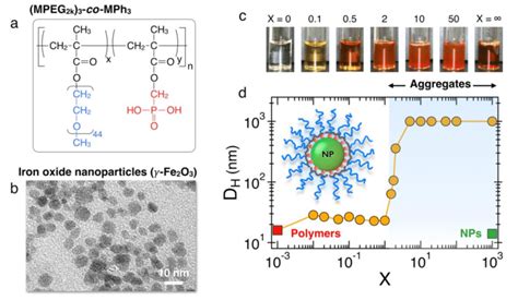 A Chemical Formula Of The Statistical Copolymer Mpeg2k 3 Co Mph3 Of