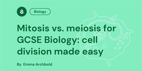 Mitosis Vs Meiosis For Gcse Biology Cell Division Made Easy