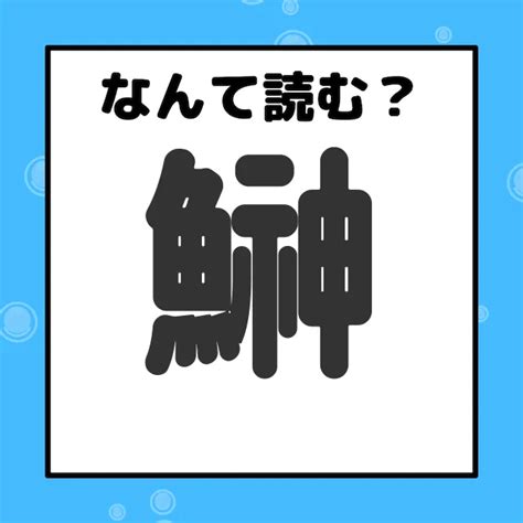 魚へんに神で「鰰」の読み方は？お魚の特徴も解説！