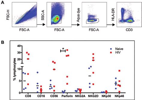 Characterization Of Nk Markers In Pbmcs Pbmcs From Naive And Download Scientific Diagram