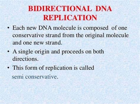 Bidirectional And Rolling Circular Dna Replication