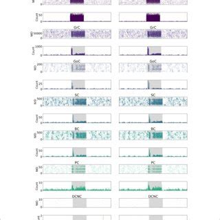 Spike Raster And Peristimulus Time Histogram Psth Comparison