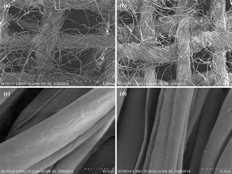 Sem Scanning Electron Microscope Micrographs Of The Surfaces Of The