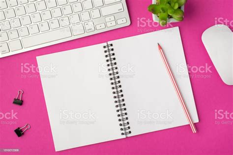 카피 스페이스와 고립 된 분홍색 배경에 열린 노트북에 흰색 키보드 마우스 바인더 식물 연필 직장의 상단 보기 사진 개발에 대한