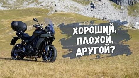 Статьи новости и видео от популярных блогеров и СМИ Будь в теме