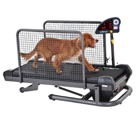Fit Fur Life トレッドミル 中型犬用運動器 全長1m20cm サンセイヤフー店 通販 Yahooショッピング
