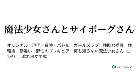 魔法少女さんとサイボーグさん ハーメルン