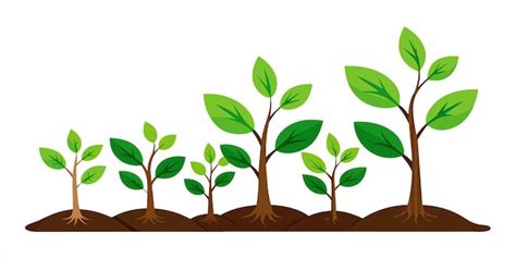 Premium Vector A Tree With Green Leaves On It